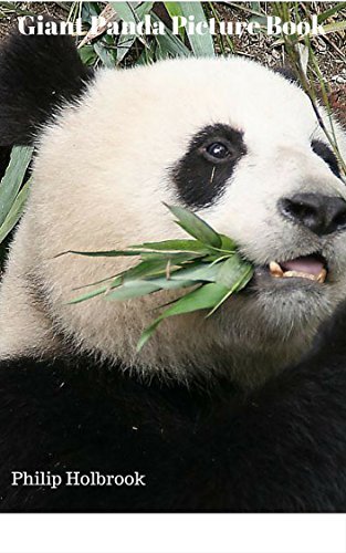Giant Panda Picture Book by Philip Holbrook | Goodreads