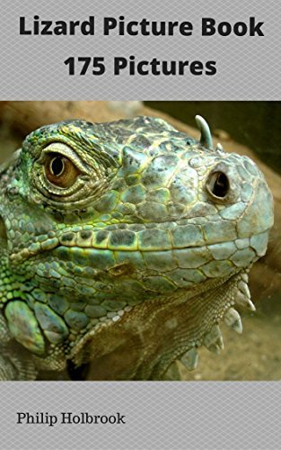 Lizard Picture Book: 175 Pictures by Philip Holbrook | Goodreads