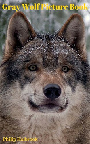 Gray Wolf Picture Book by Philip Holbrook | Goodreads