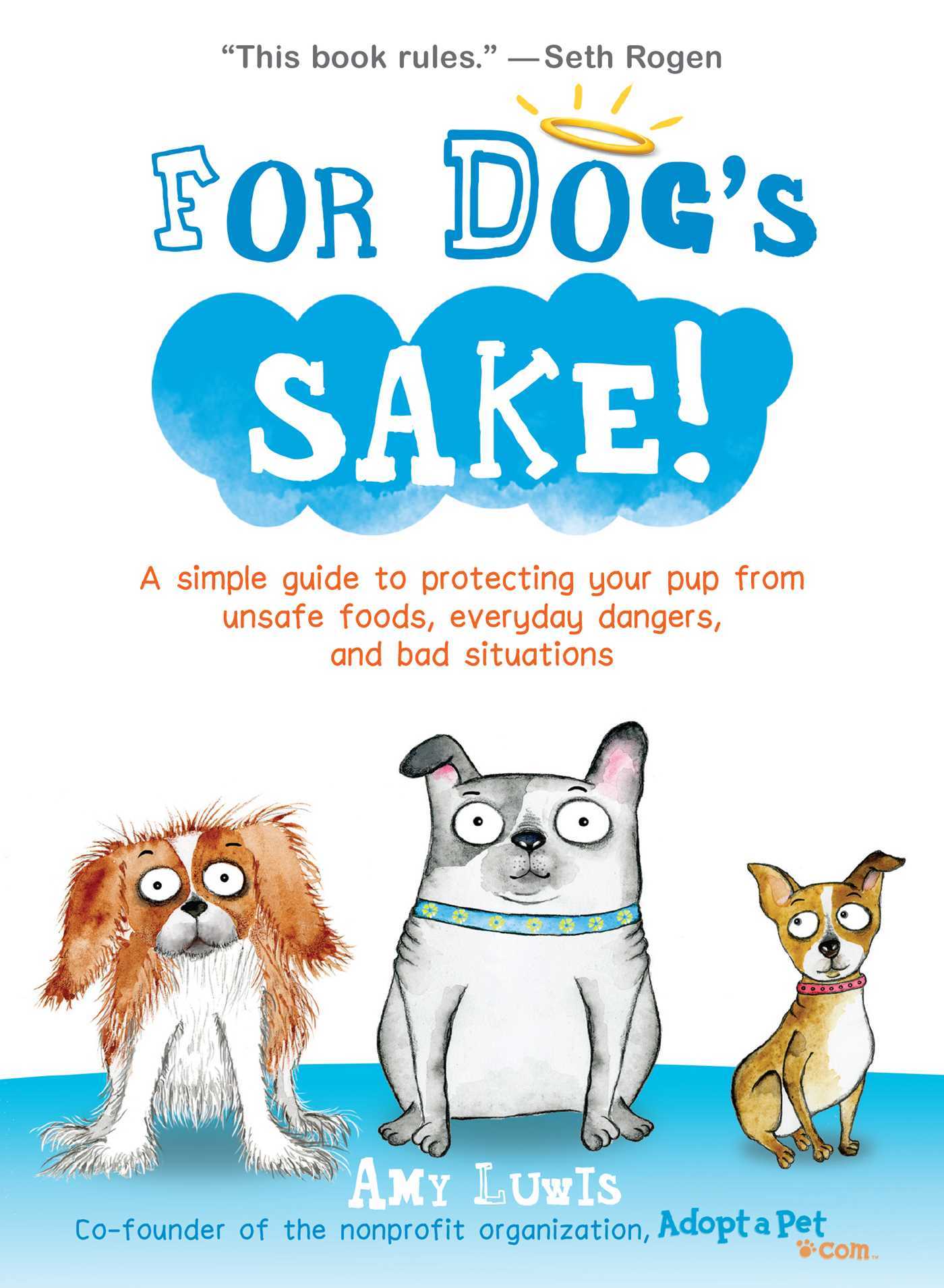 For Dog's Sake!: A Simple Guide to Protecting Your Pup from Unsafe ...