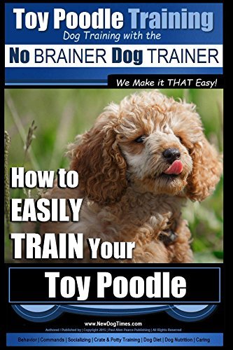 Toy Poodle Training | Dog Training with the No BRAINER Dog TRAINER ~ We ...