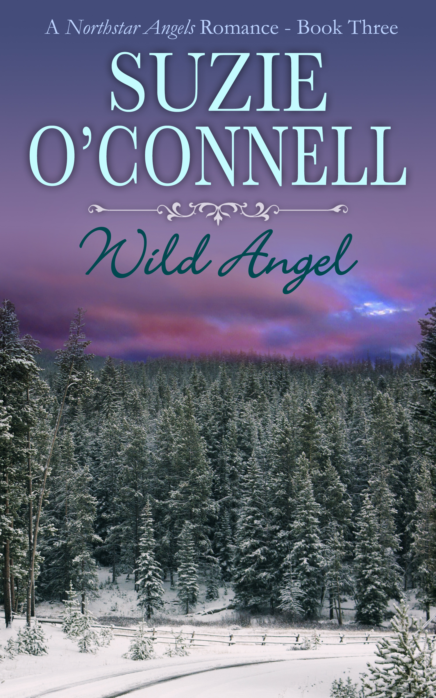 Wild Angel (Northstar Angels, #3) by Suzie O'Connell | Goodreads