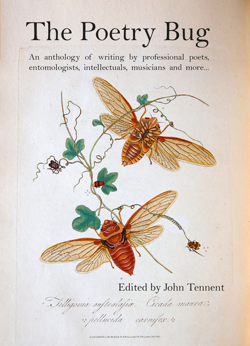 The Poetry Bug by John Tennent | Goodreads
