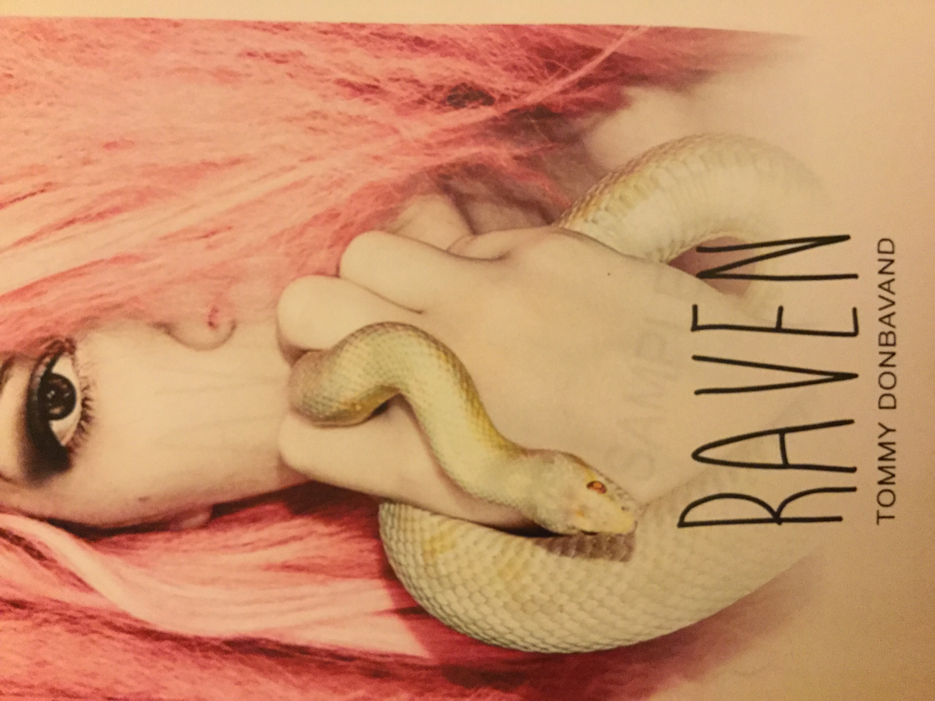 Raven by Tommy Donbavand | Goodreads