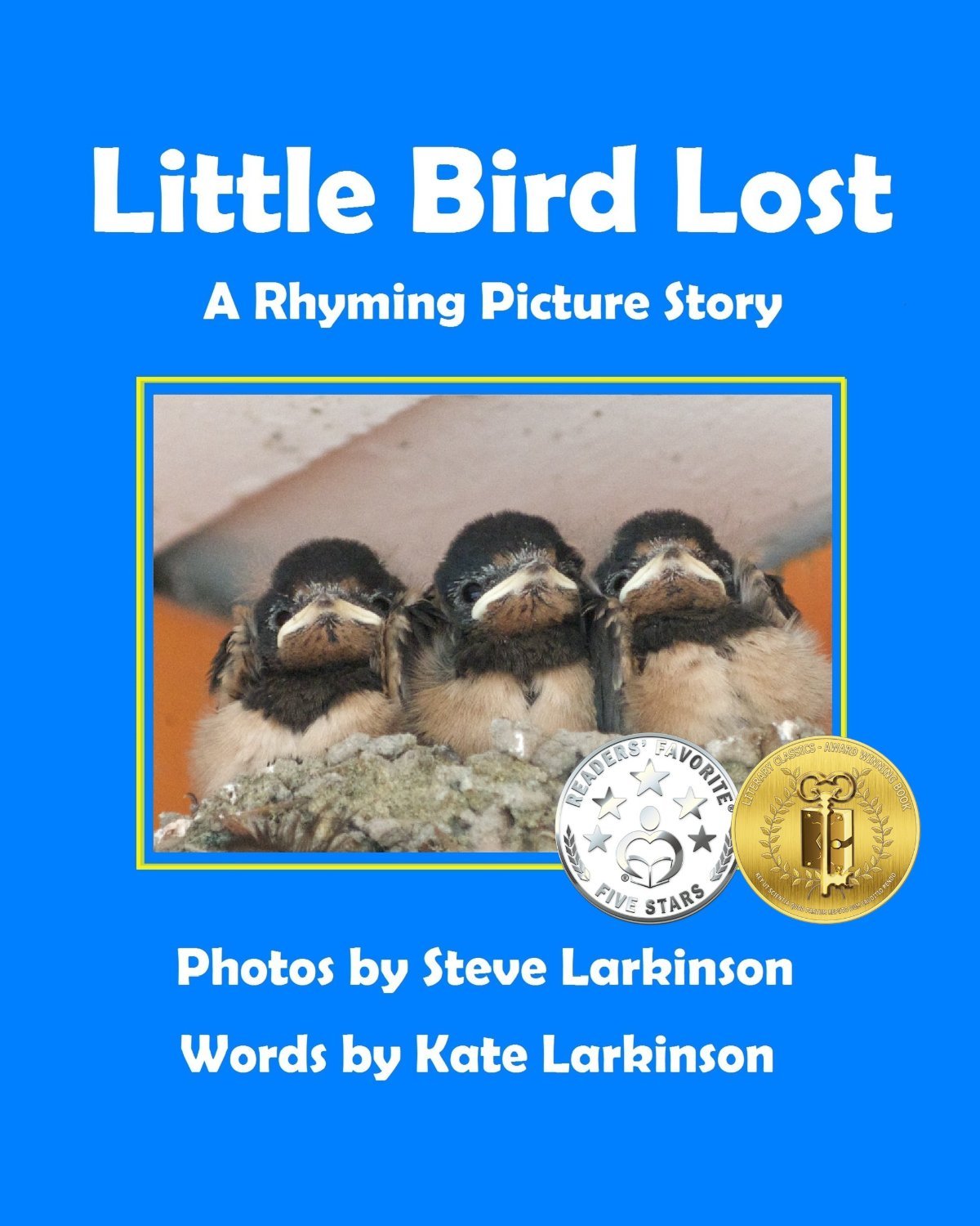 Little Bird Lost: A Rhyming Picture Story by Kate Larkinson | Goodreads