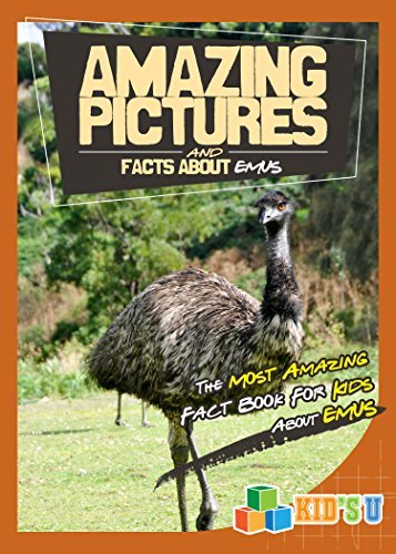 Amazing Pictures and Facts About Emus: The Most Amazing Fact Book for ...