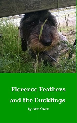 Florence Feathers and the Ducklings by Ann Owen | Goodreads