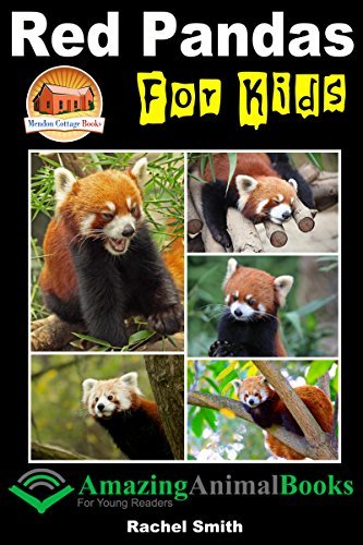 Red Pandas For Kids by Rachel Smith | Goodreads