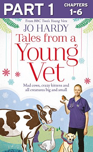 Tales from a Young Vet: Part 1 of 3: Mad cows, crazy kittens, and all ...