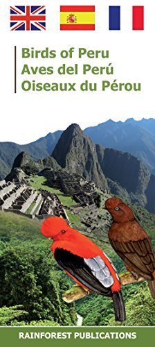 Peru Birds (Laminated Foldout Pocket Field Guide) by Rainforest ...