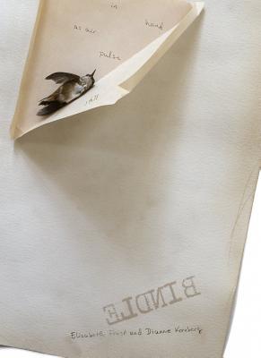 Bindle by Elisabeth Frost | Goodreads