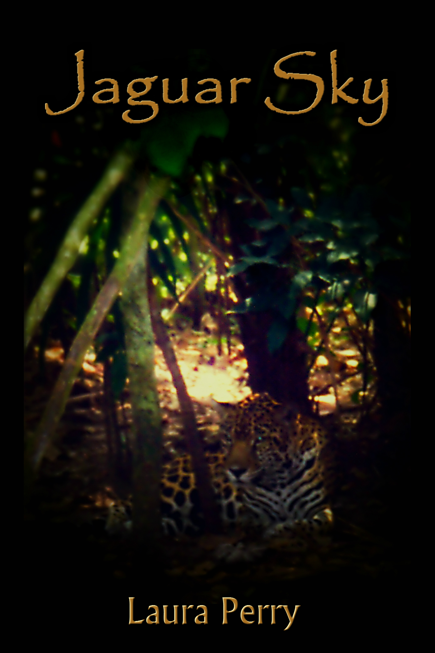 Jaguar Sky by Laura Perry | Goodreads