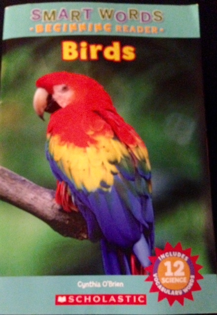 Birds Smart Words-Beginning Reader by Cynthia O'Brien | Goodreads