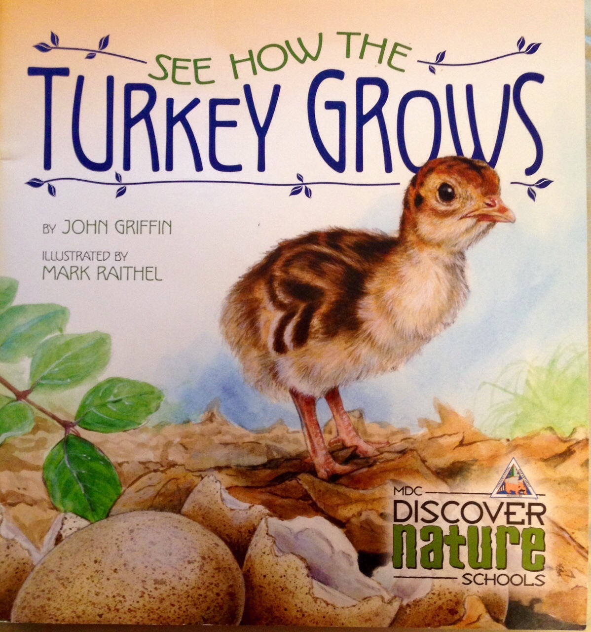 See How the Turkey Grows - MDC Discover nature schools by John Griffin ...