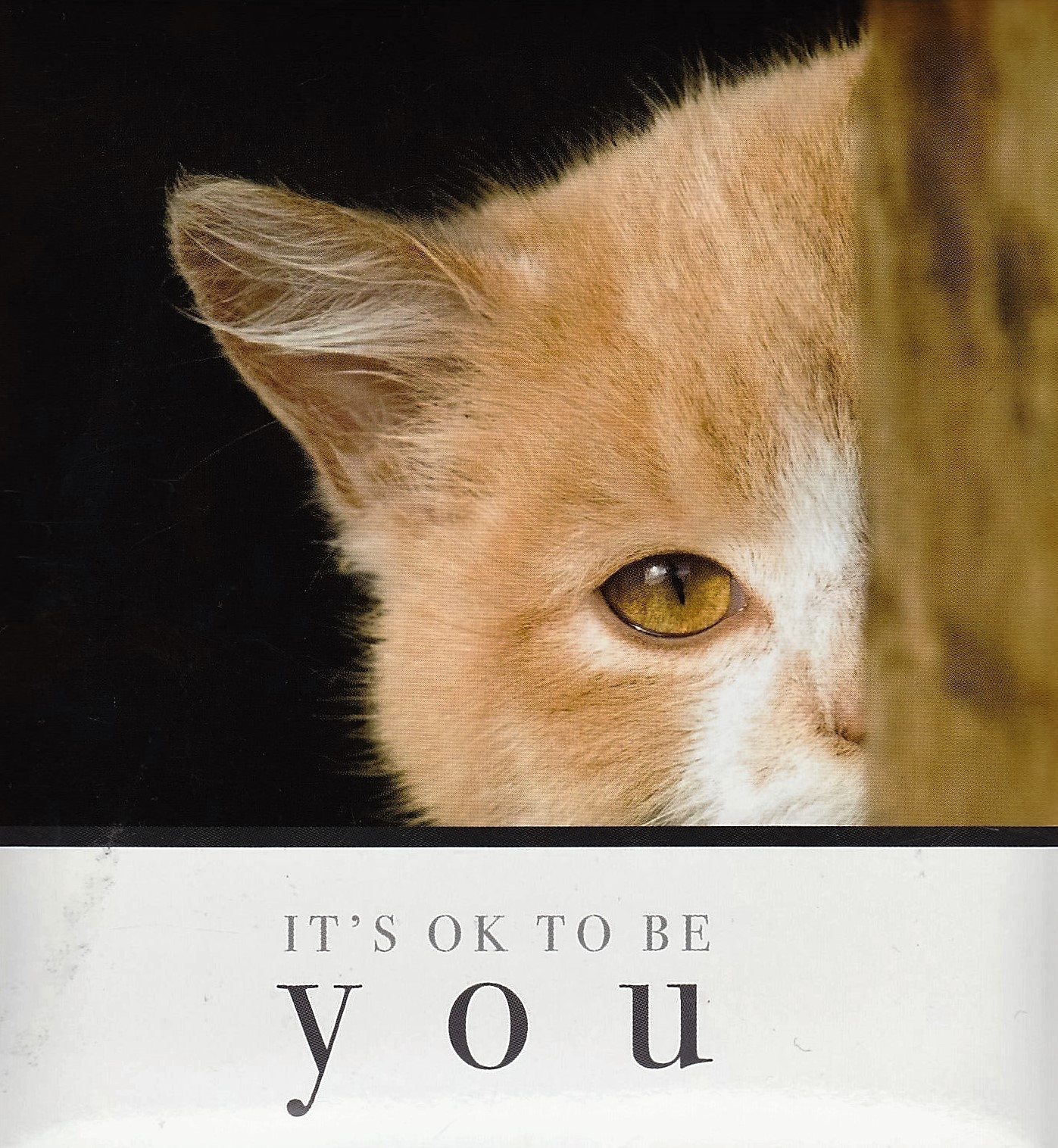 It's Ok To Be You by Barbara Maher | Goodreads
