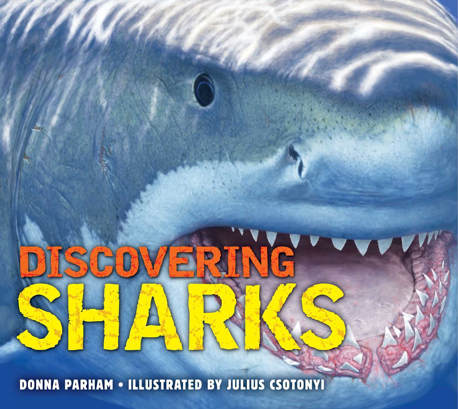 Discovering Sharks: The Ultimate Guide to the Fiercest Predators in the ...