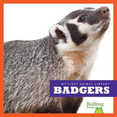 Badgers (My First Animal Library) by Mari Schuh | Goodreads