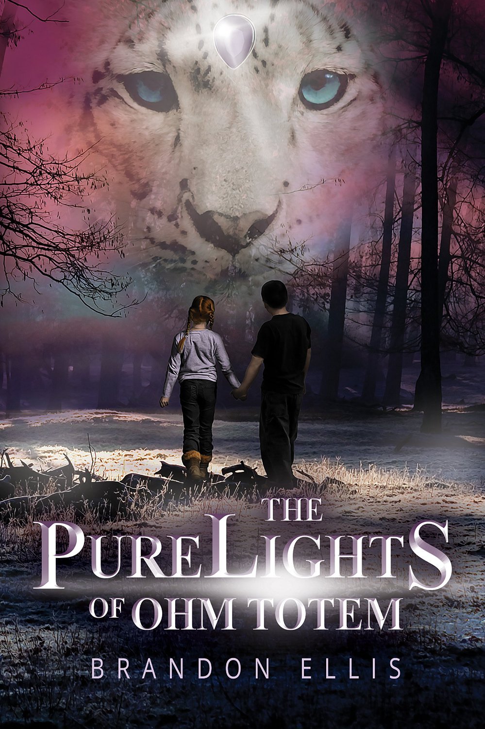 The PureLights of Ohm Totem (PureLights, #1) by Brandon Ellis | Goodreads