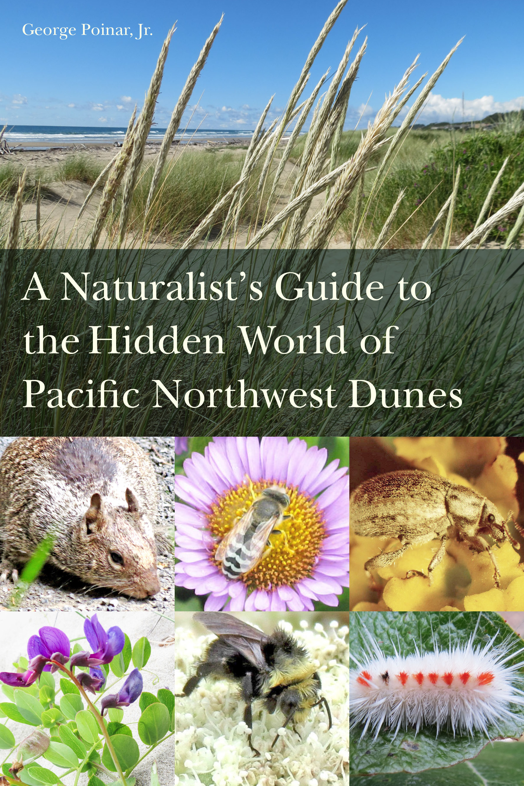 A Naturalist's Guide to the Hidden World of Pacific Northwest Dunes by ...