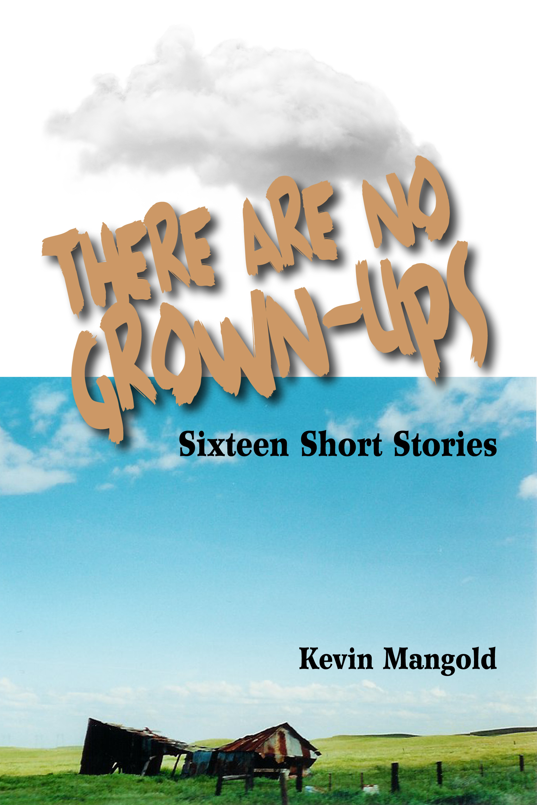There Are No Grown-Ups by Kevin Mangold | Goodreads