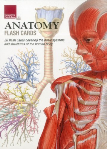 Scientific Publishing Anatomy Flash Cards - Set of 50 by Scientific ...