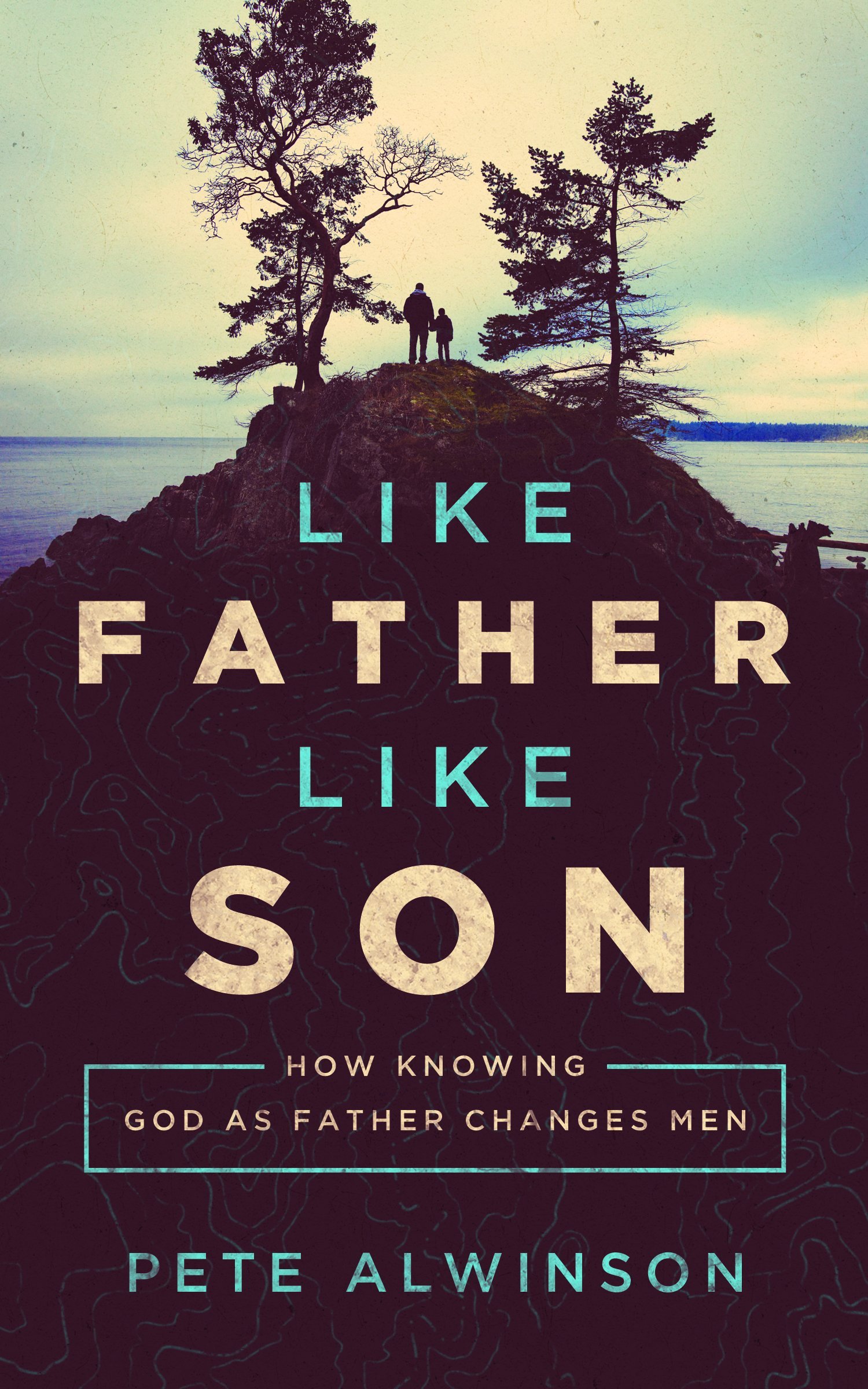 Like Father, Like Son: Getting Free from People, Patterns, and Problems ...