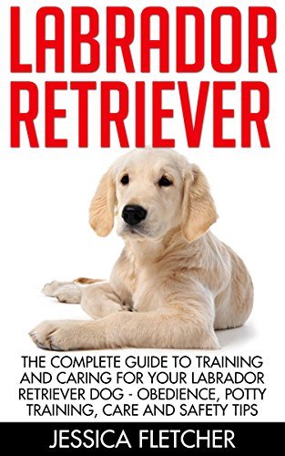 Labrador Retriever: The Complete Guide To Training And Caring For Your ...