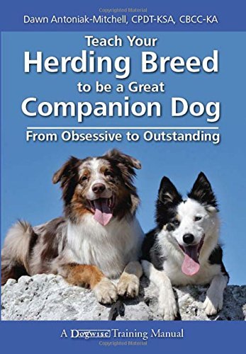 Teach Your Herding Breed to Be a Great Companion Dog: From Obsessive to ...
