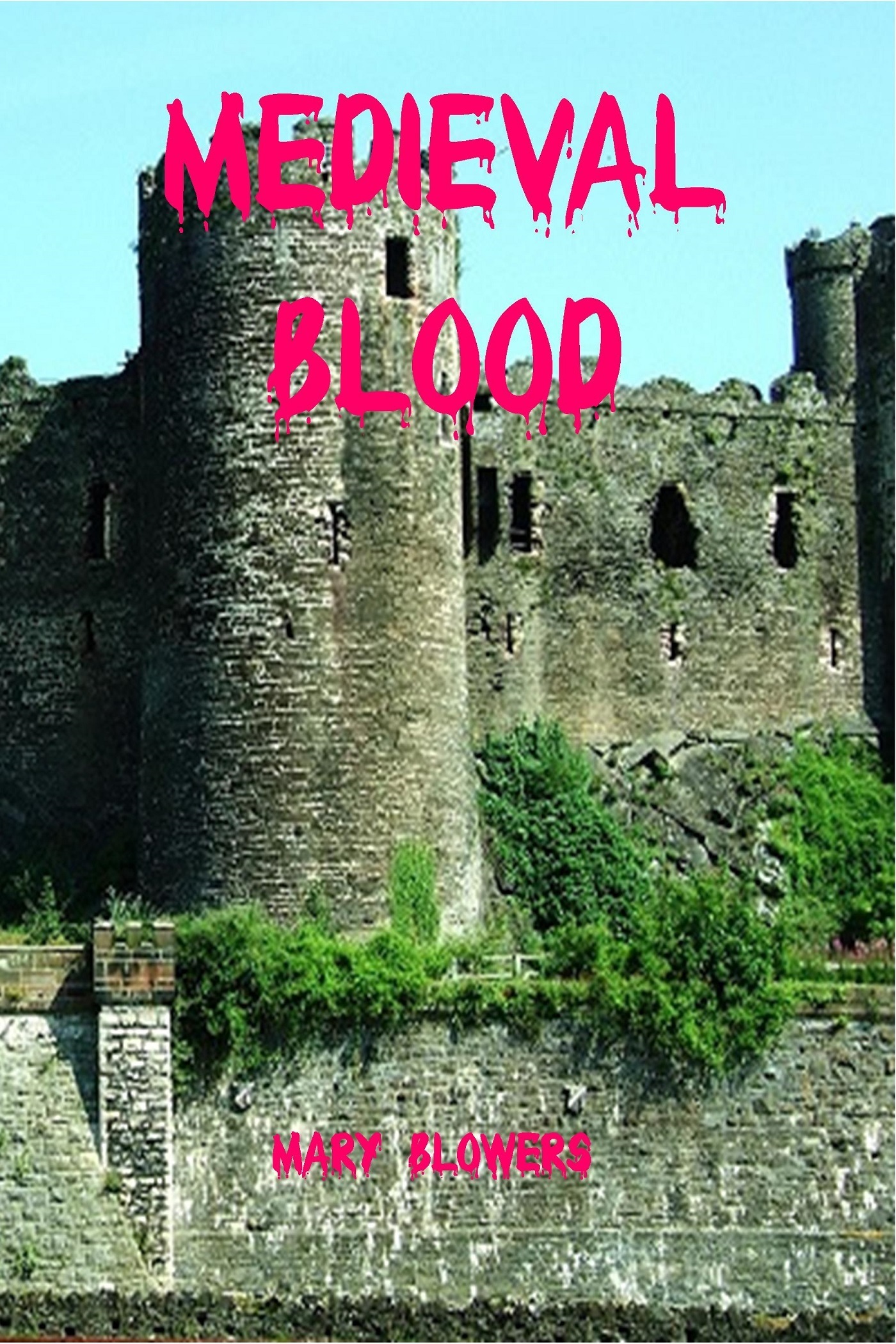 Medieval Blood by Mary Blowers | Goodreads