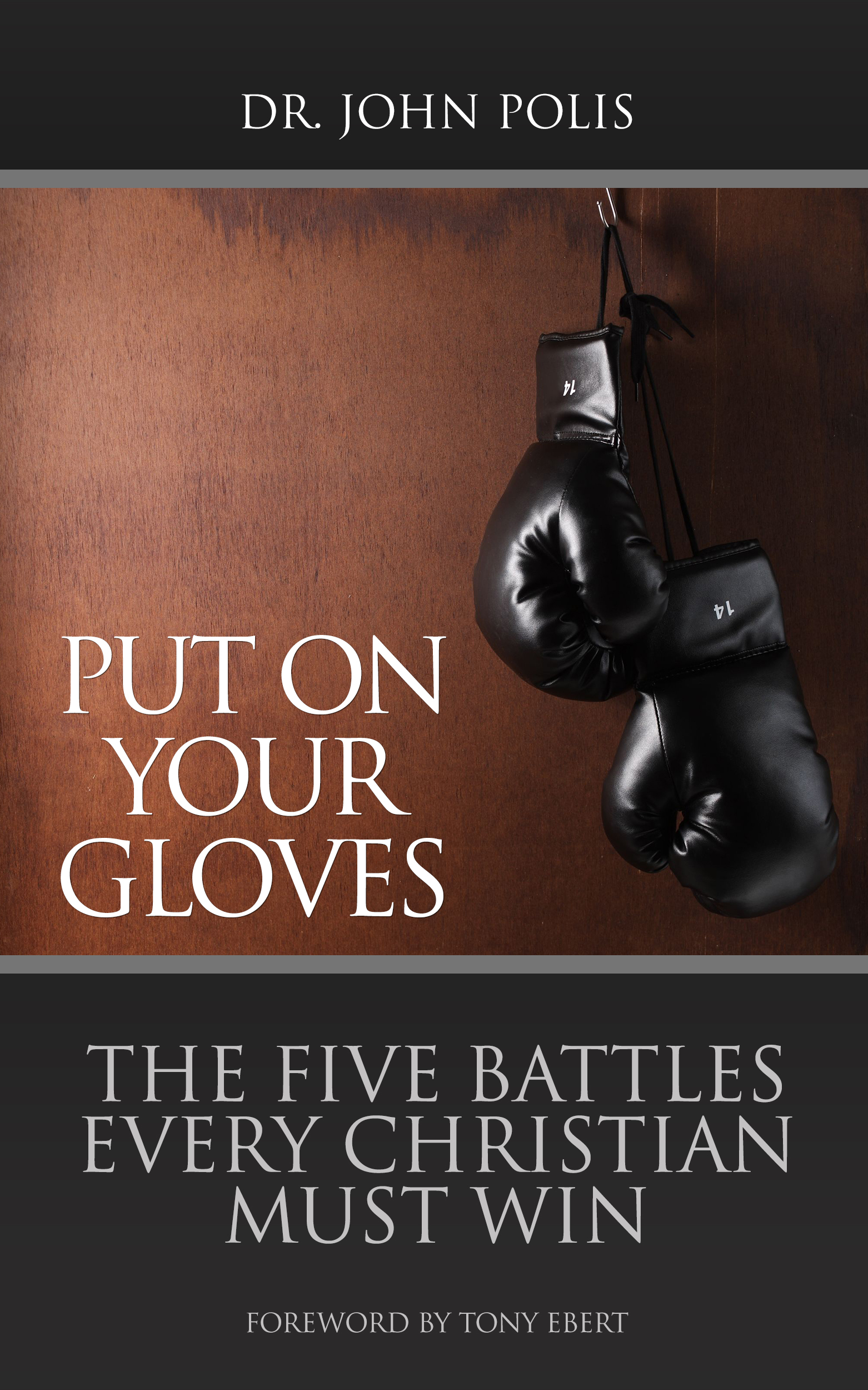 Put On Your Gloves: The Five Battles Every Christian Must Win by John ...