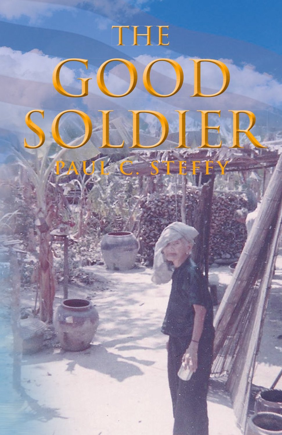The Good Soldier by Paul C. Steffy | Goodreads