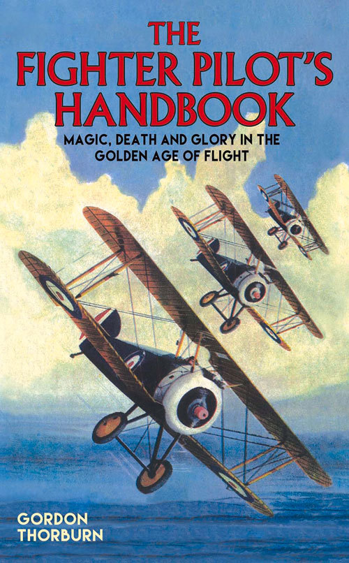 The Fighter Pilot's Handbook: Magic, Death and Glory in the Golden Age ...