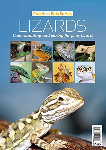 Lizards: Understanding and caring for your lizard by David Alderton ...
