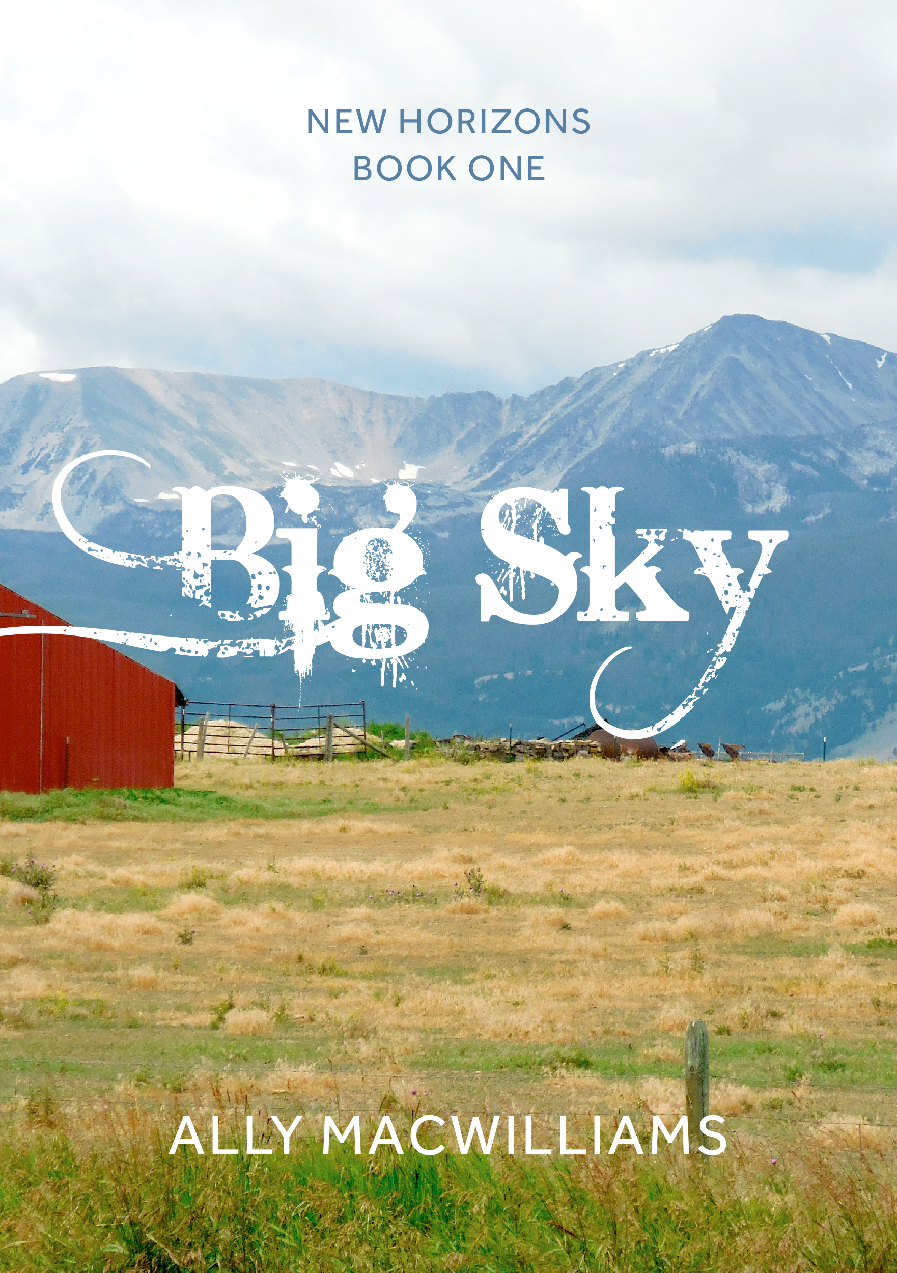 Big Sky (New Horizons, Book One) by Ally MacWilliams | Goodreads