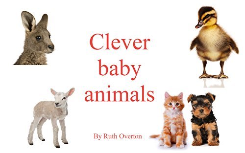 Clever Baby Animals (Clever Owl Books Book 1) by Clever Owl Books ...