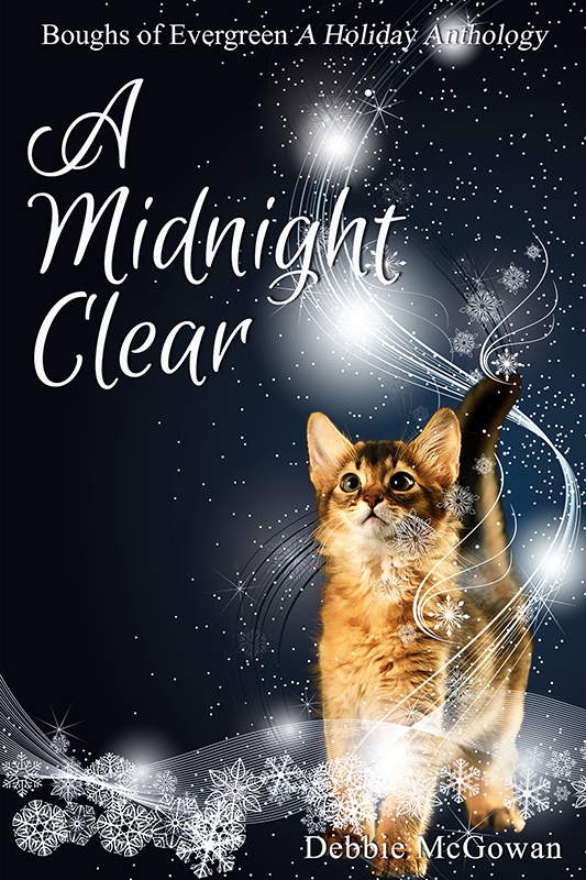 A Midnight Clear by Debbie McGowan | Goodreads