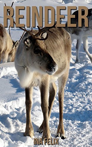 Reindeer: Children Book of Fun Facts & Amazing Photos on Animals in ...