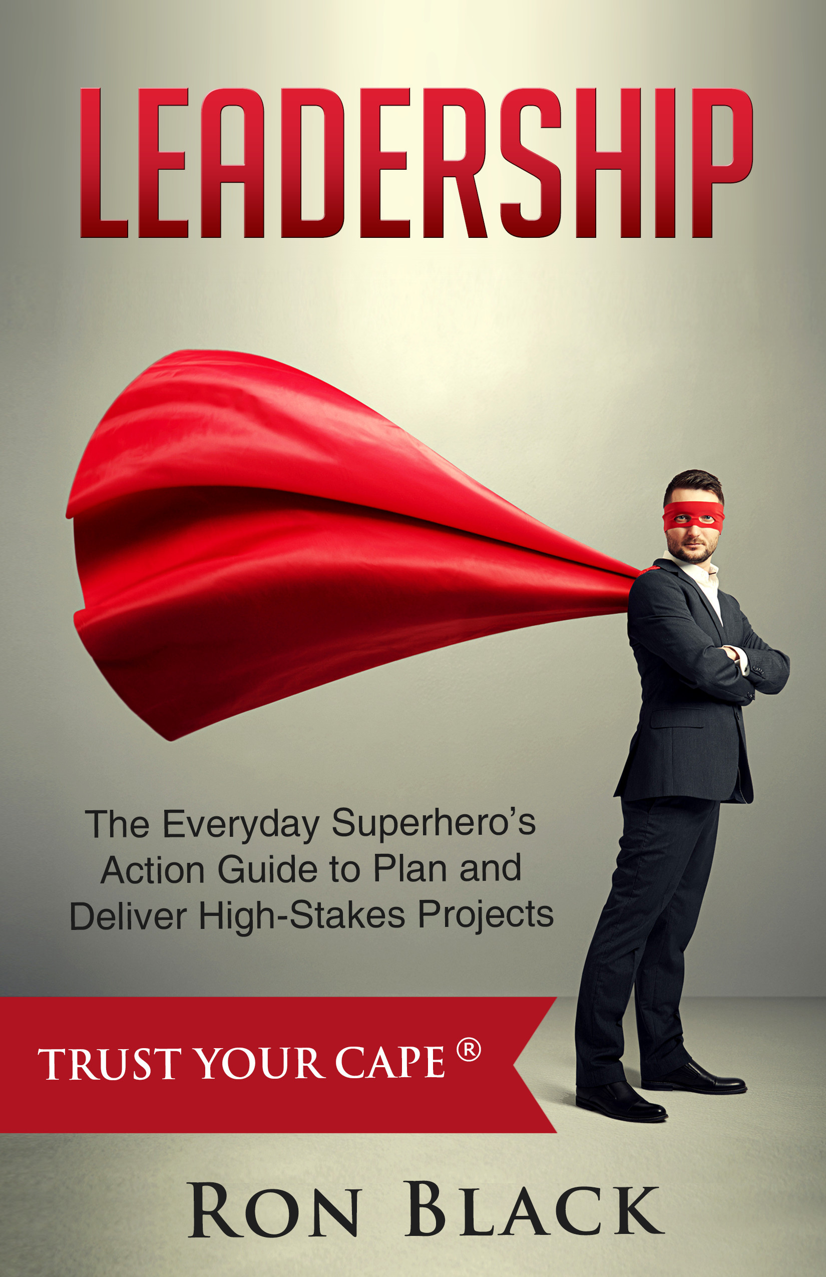 LEADERSHIP The Everyday Superhero's Action Guide to Plan and Deliver ...