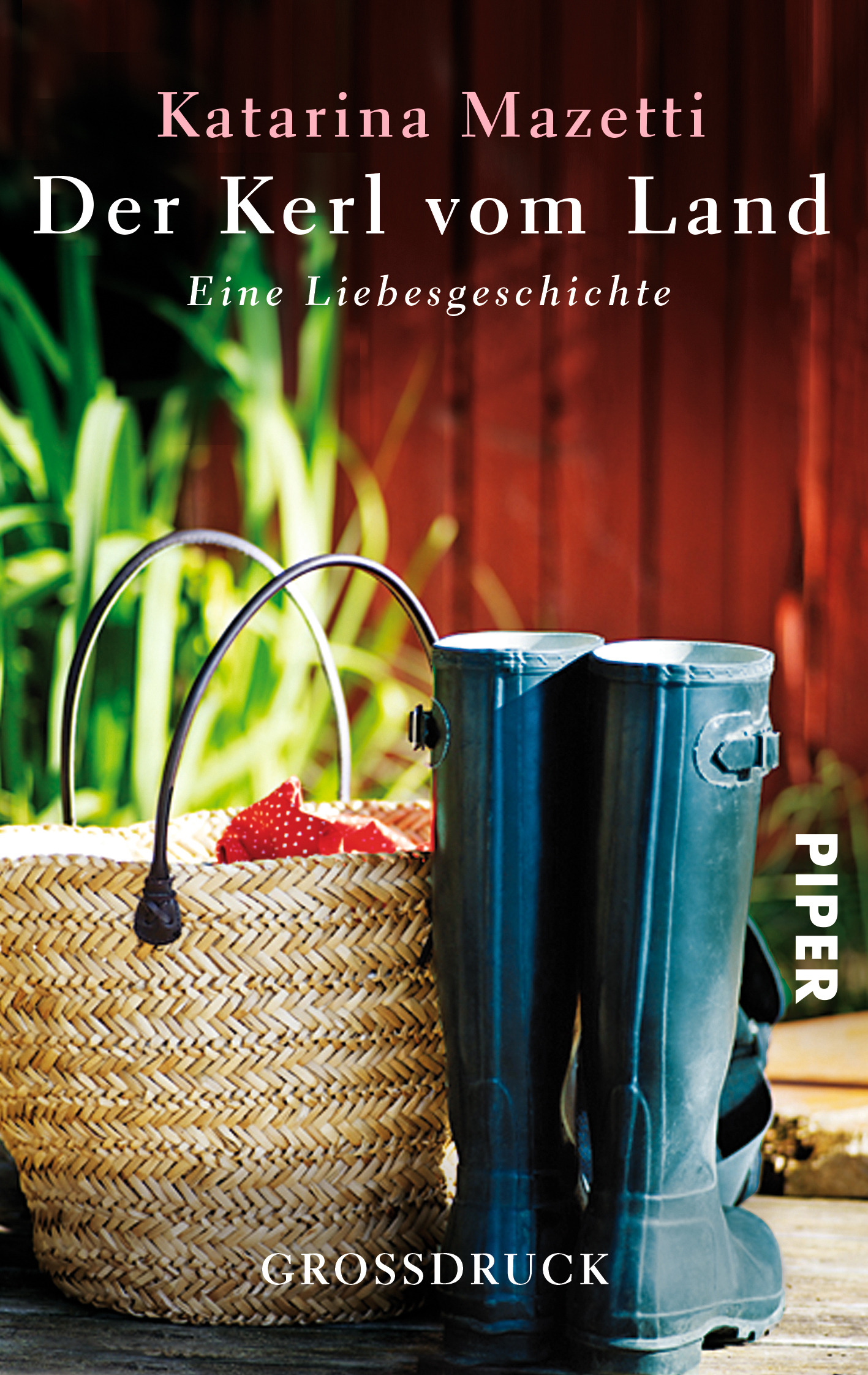 Der Kerl vom Land: Eine Liebesgeschichte by Katarina Mazetti | Goodreads