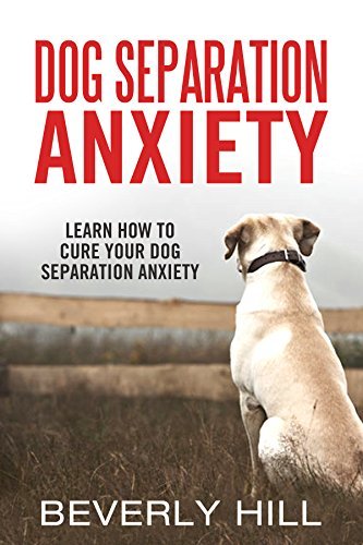 Dog Separation Anxiety: Learn How to Cure Your Dog Separation Anxiety ...