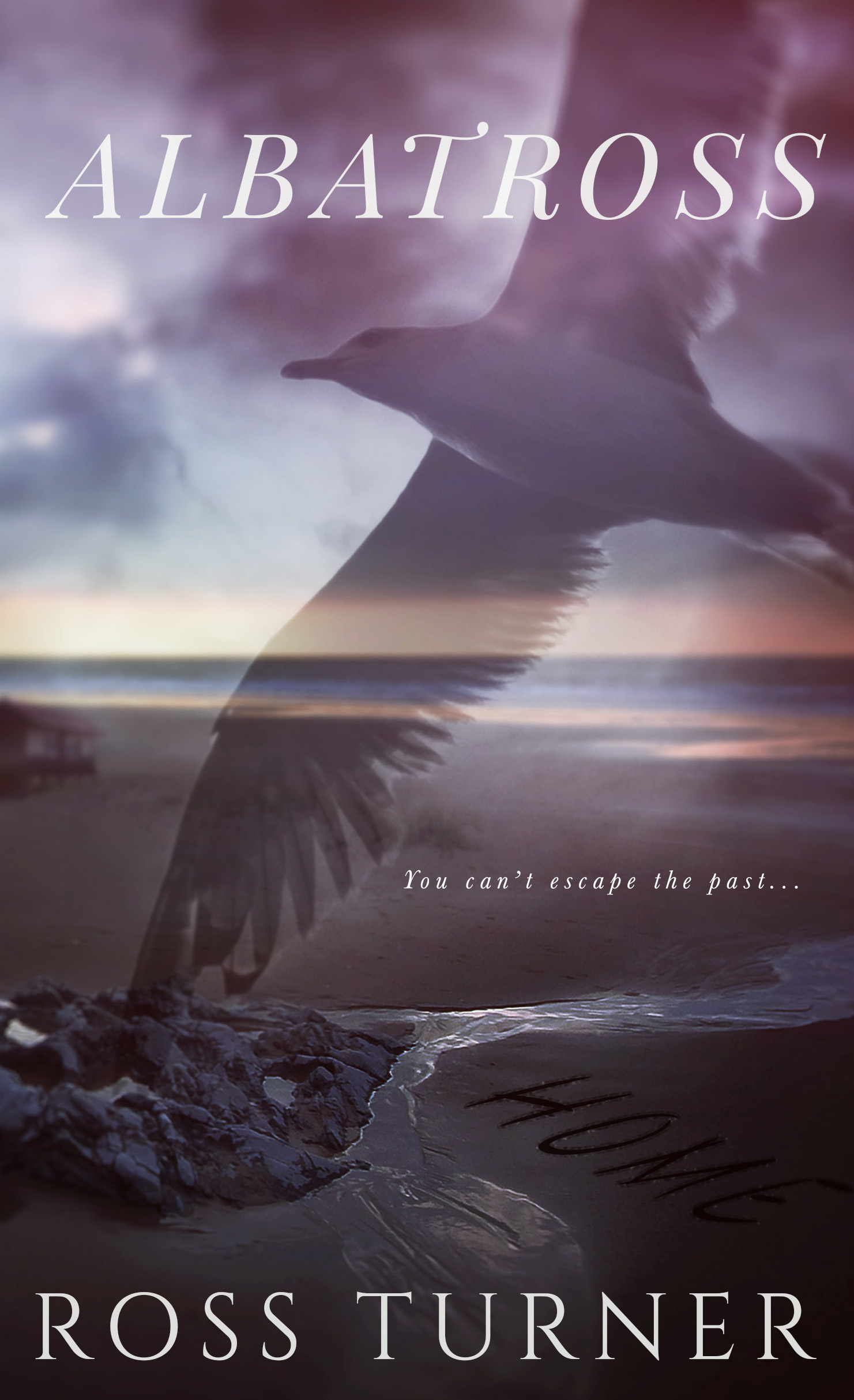 Albatross by Ross Turner | Goodreads