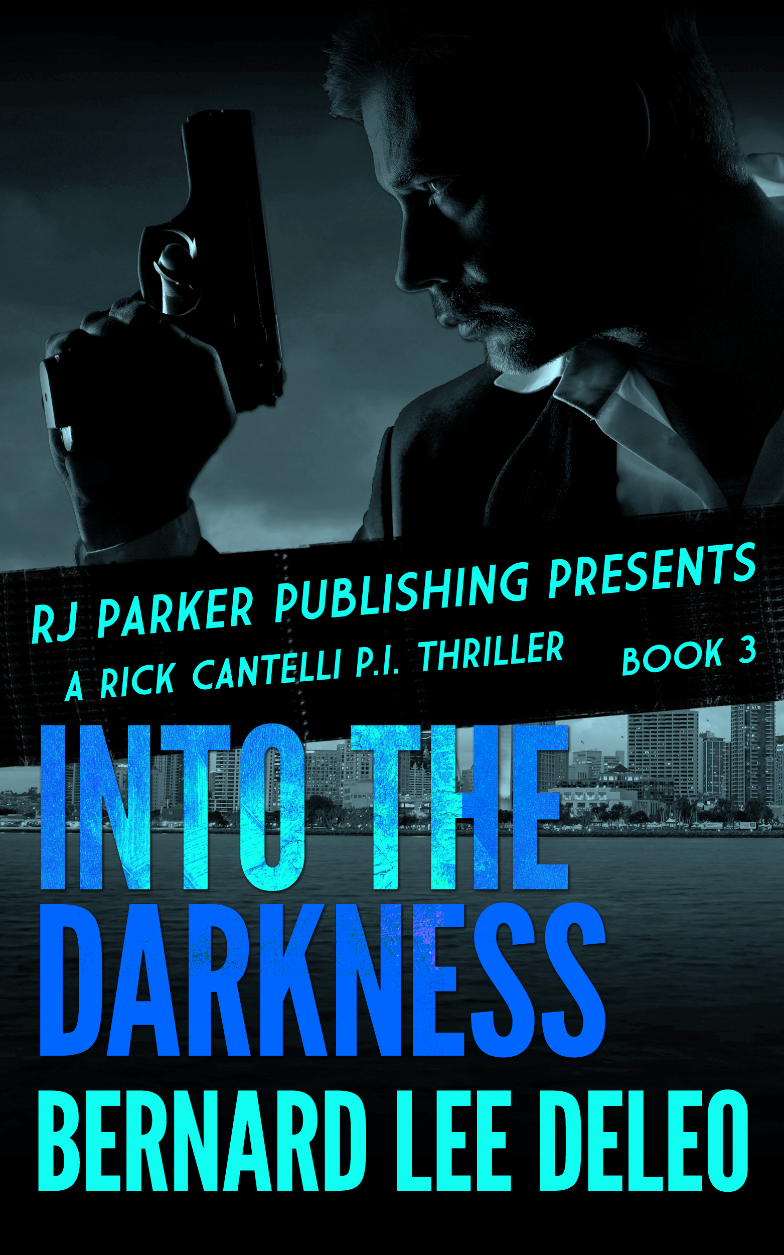 Into the Darkness (Rick Cantelli, P.I. #3) by Bernard Lee DeLeo | Goodreads