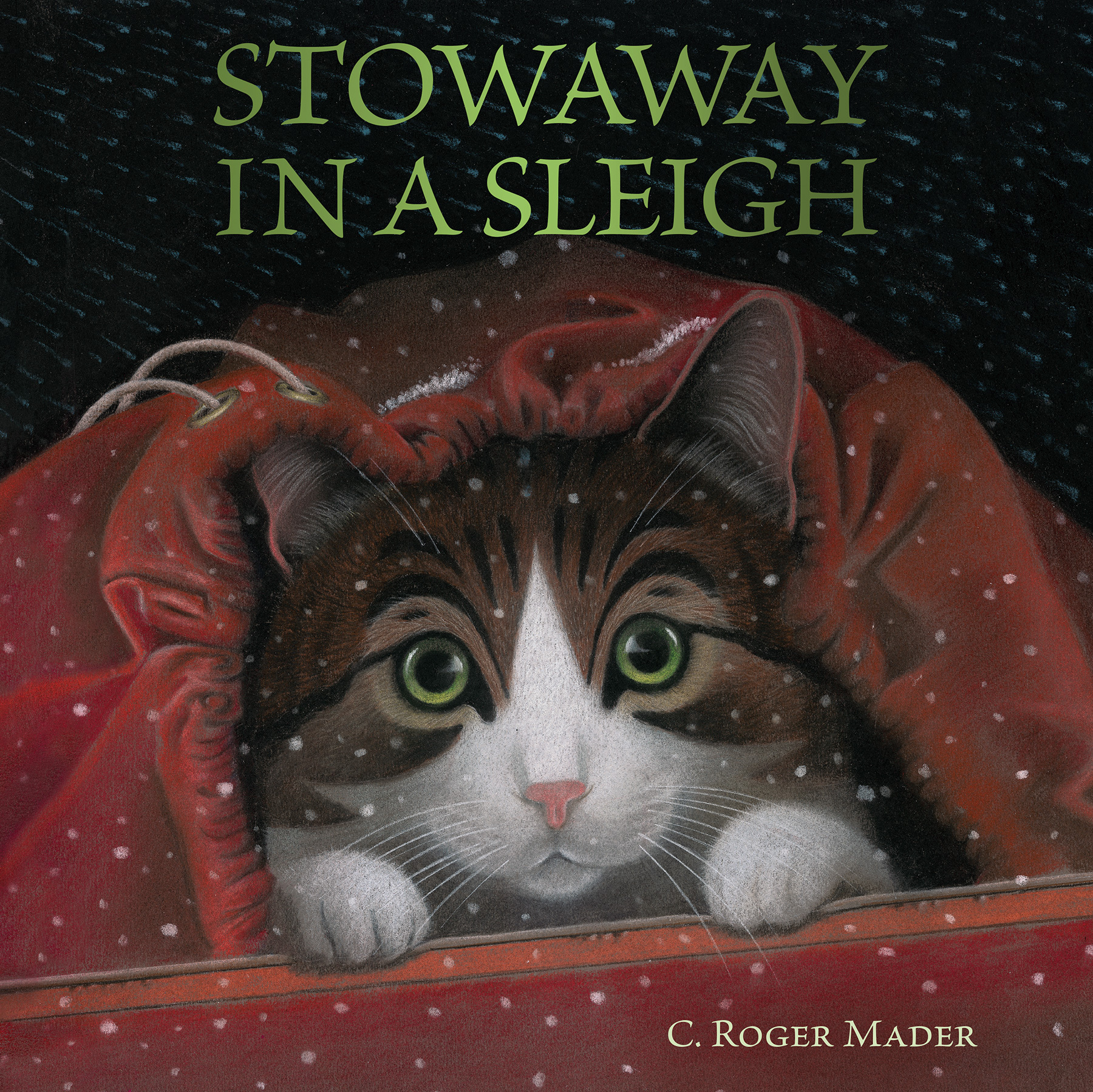 Stowaway in a Sleigh by C. Roger Mader | Goodreads