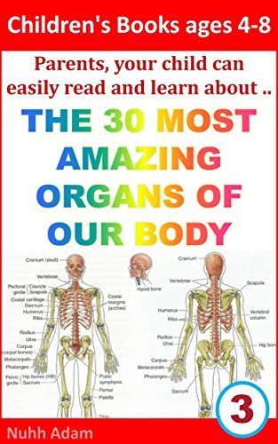 Biology for Beginners: The 30 Most Amazing Organs of Our Body: Simple ...