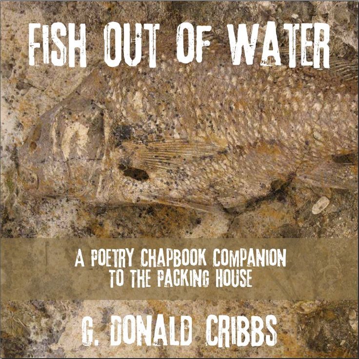 Fish Out of Water: A Poetry Chapbook Companion to The Packing House by ...