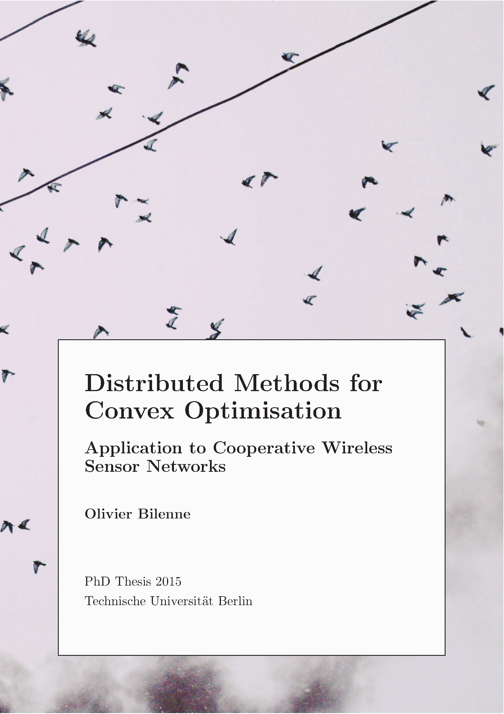 Distributed Methods for Convex Optimisation: Application to Cooperative Wireless Sensor Networks ...