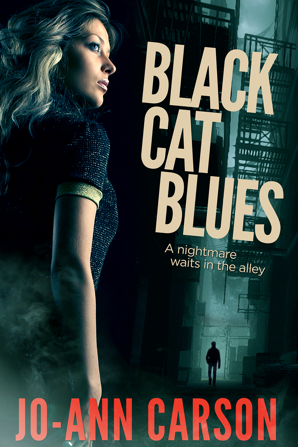 Black Cat Blues (Vancouver Blues Suspense, #1) by Jo-Ann Carson | Goodreads