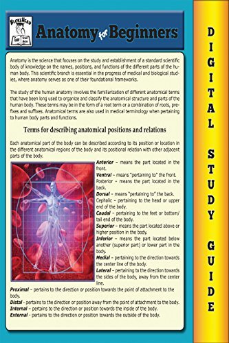 Anatomy For Beginners (Blokehead Easy Study Guide) by The Blokehead ...