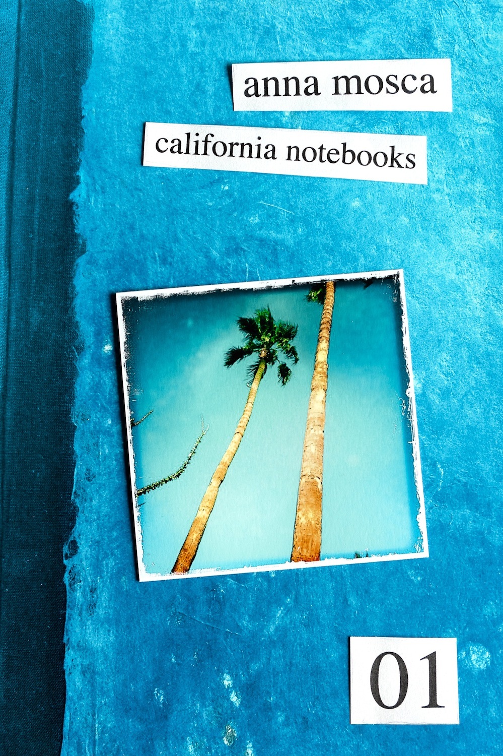 California Notebooks by Anna Mosca | Goodreads