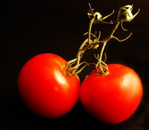 Growing Big Red Tomato - Tomatoes Made Easy - Grow the Best, Juiciest ...